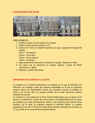 Identificación de proteínas. | DOCX
