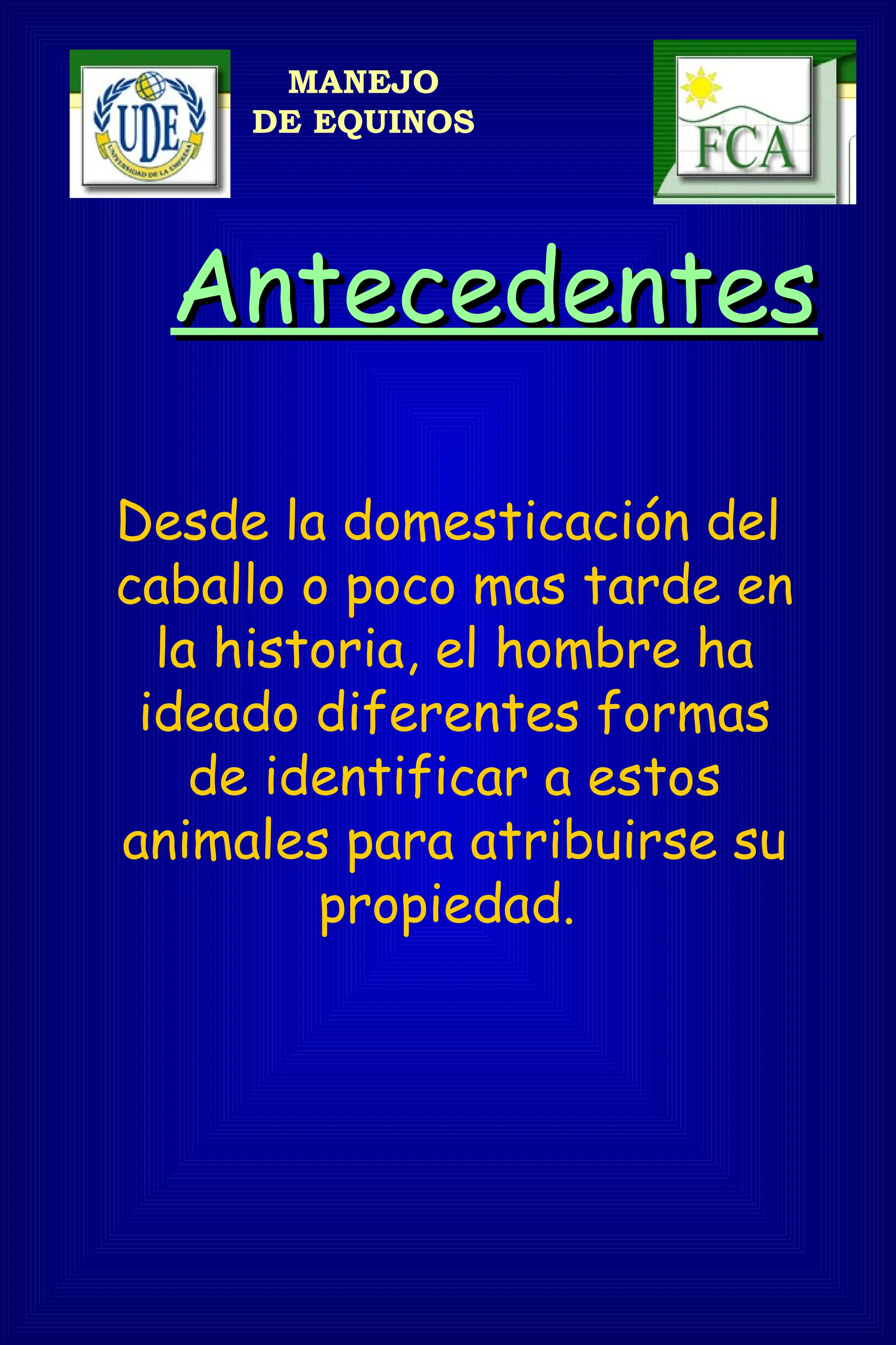 Identificación e individualización de caballos.ppt