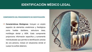 Identificación Humana - Métodos de Identificación en Odontología ...