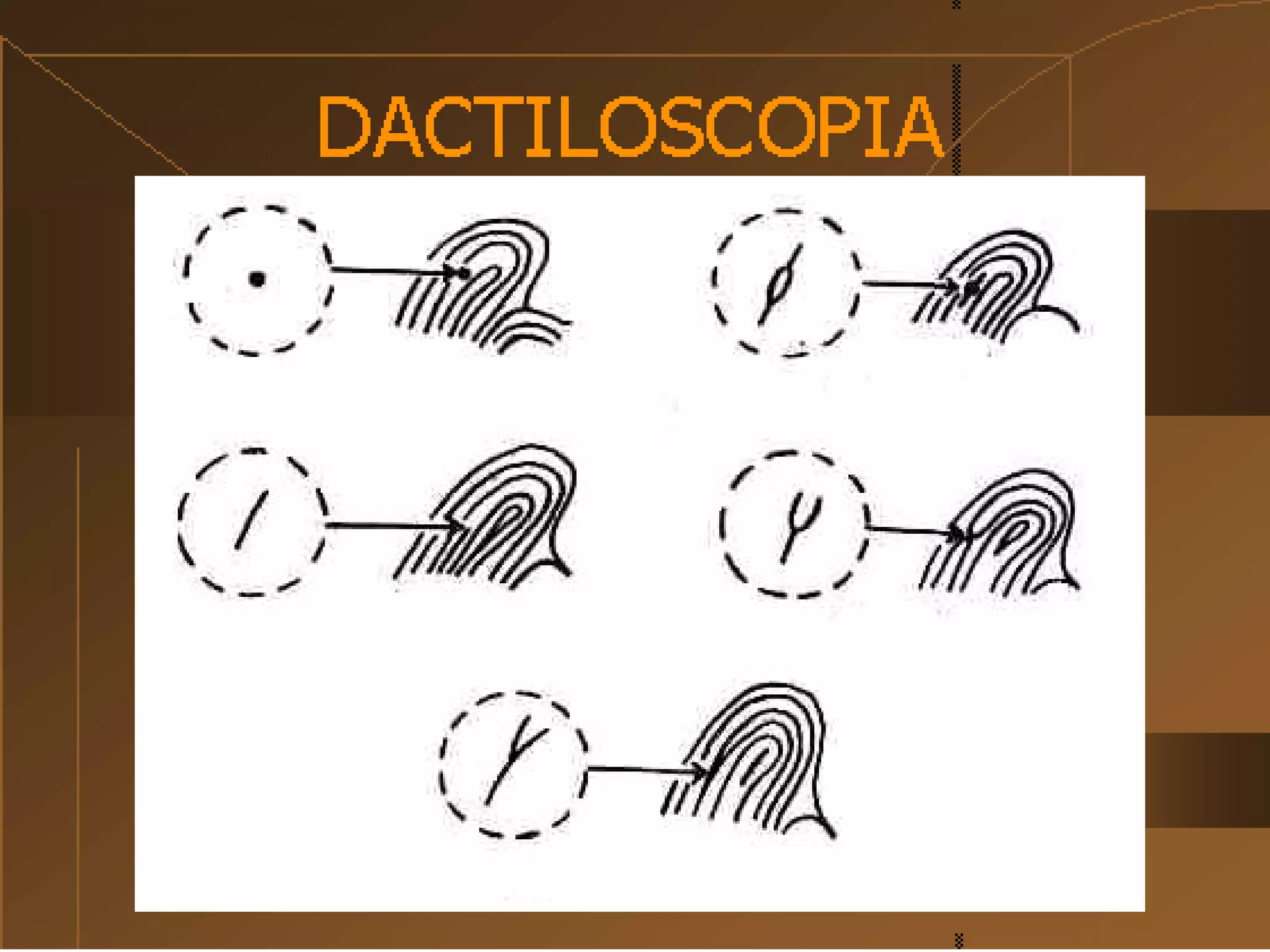 Identificacion de huellas dactilares | PPT