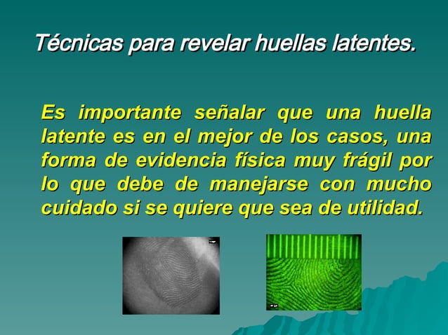 Identificacion de huellas dactilares | PPT