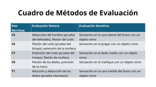 IDENTIFICACION DE LAS PERINCIPALES LESIONES DEL NERVIO PERIFERICO.pptx