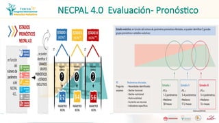 IDENTIFICACION DE NECESIDADES PALIATIVAS pptx | PPTX