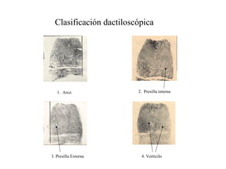 Identificacion policial | PPT
