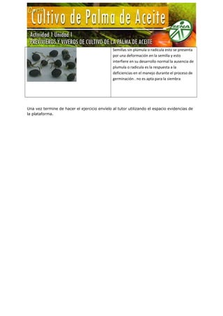Identificacion y clasificacion act 1 | DOC