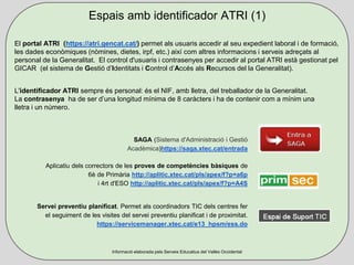 Identificadors espais en linia | PPTX