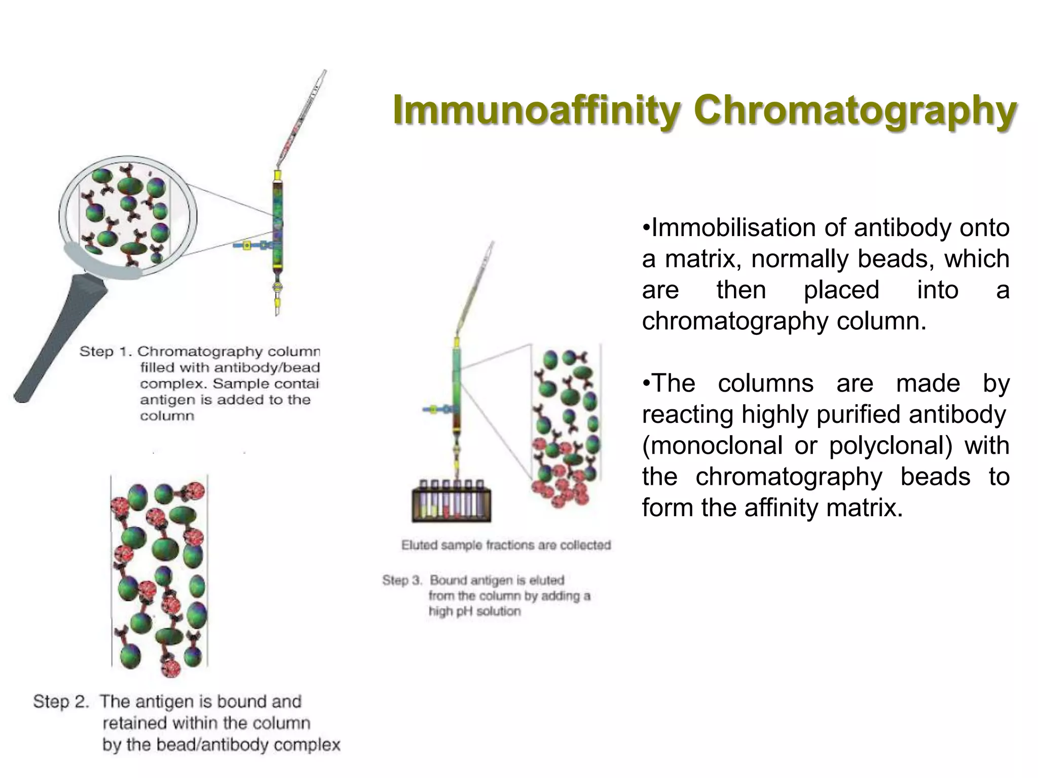 Identification of micro organisms | PPTX