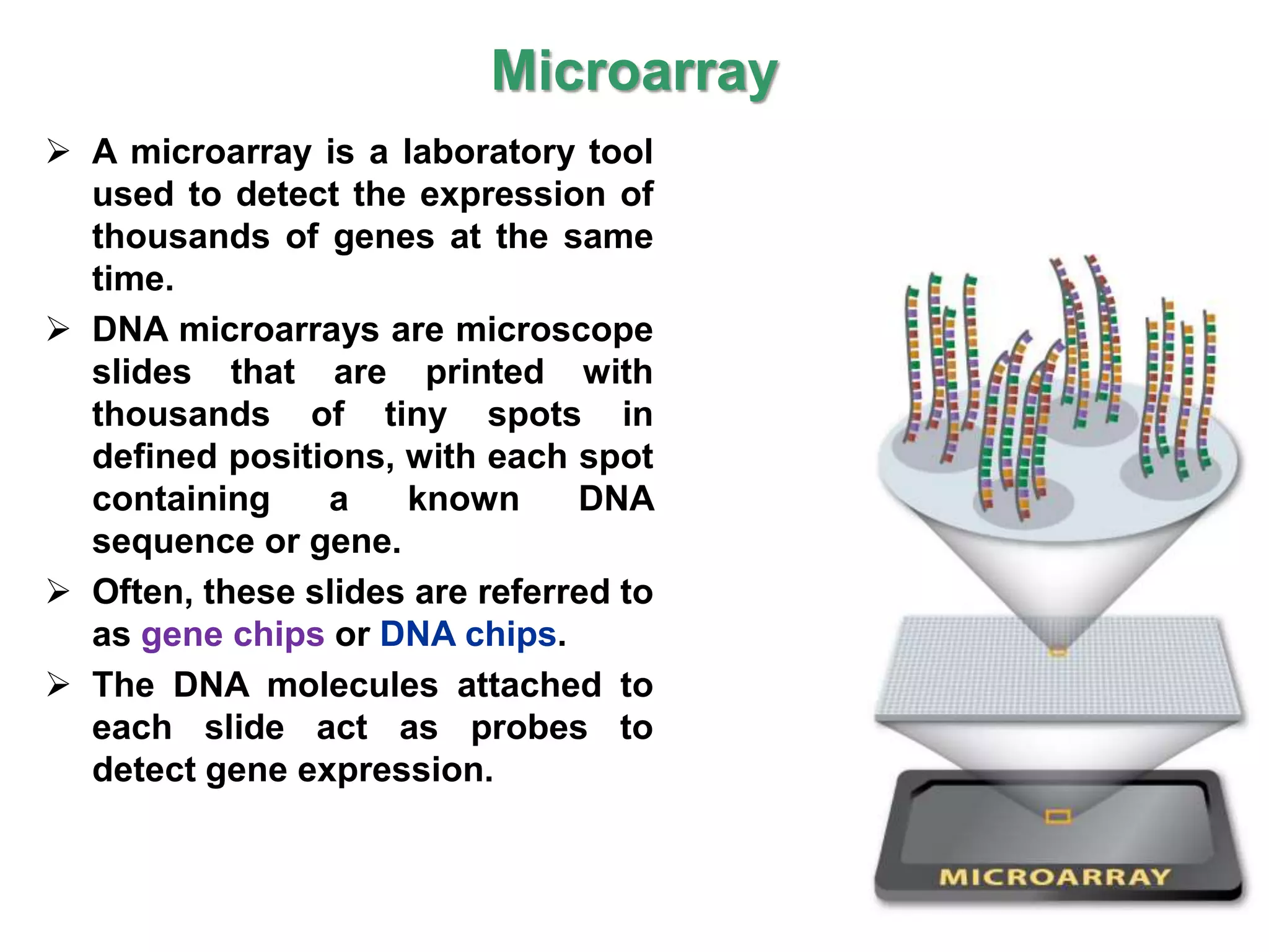 Identification of micro organisms | PPTX