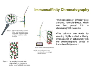 Identification of micro organisms | PPTX