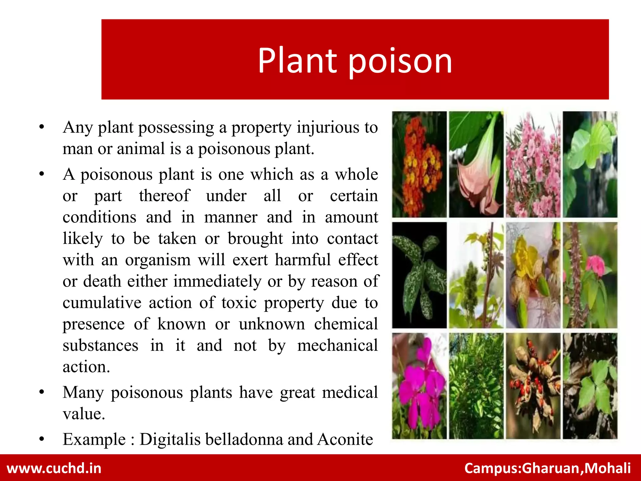 Identification test for animal and plant poison | PPTX