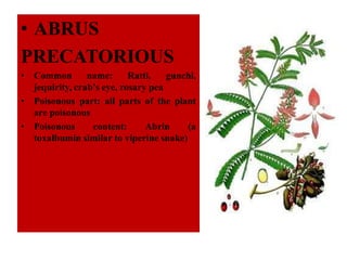 Identification test for animal and plant poison | PPTX