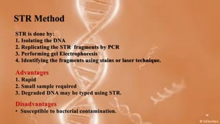 Identification | PPT