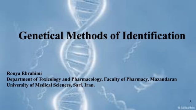 Identification | PPT