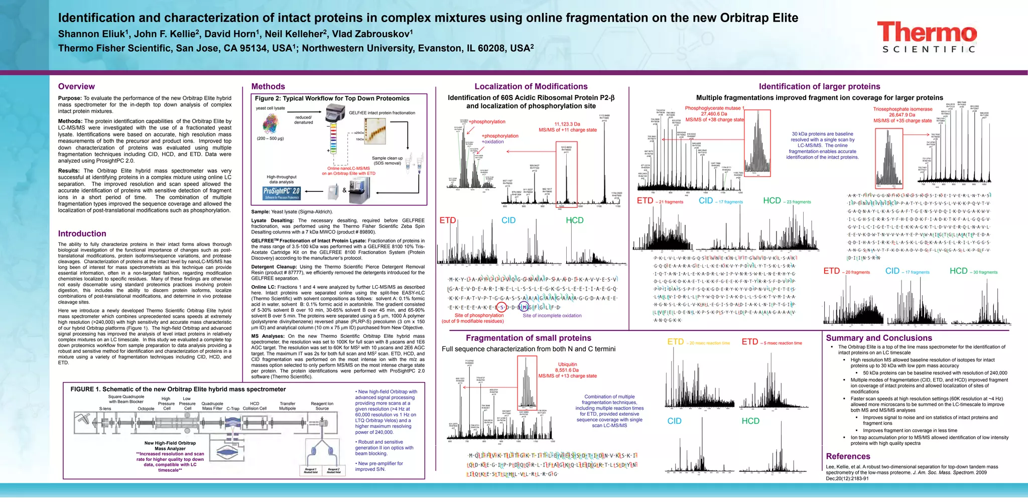 Identification and characterization of intact proteins in complex ...