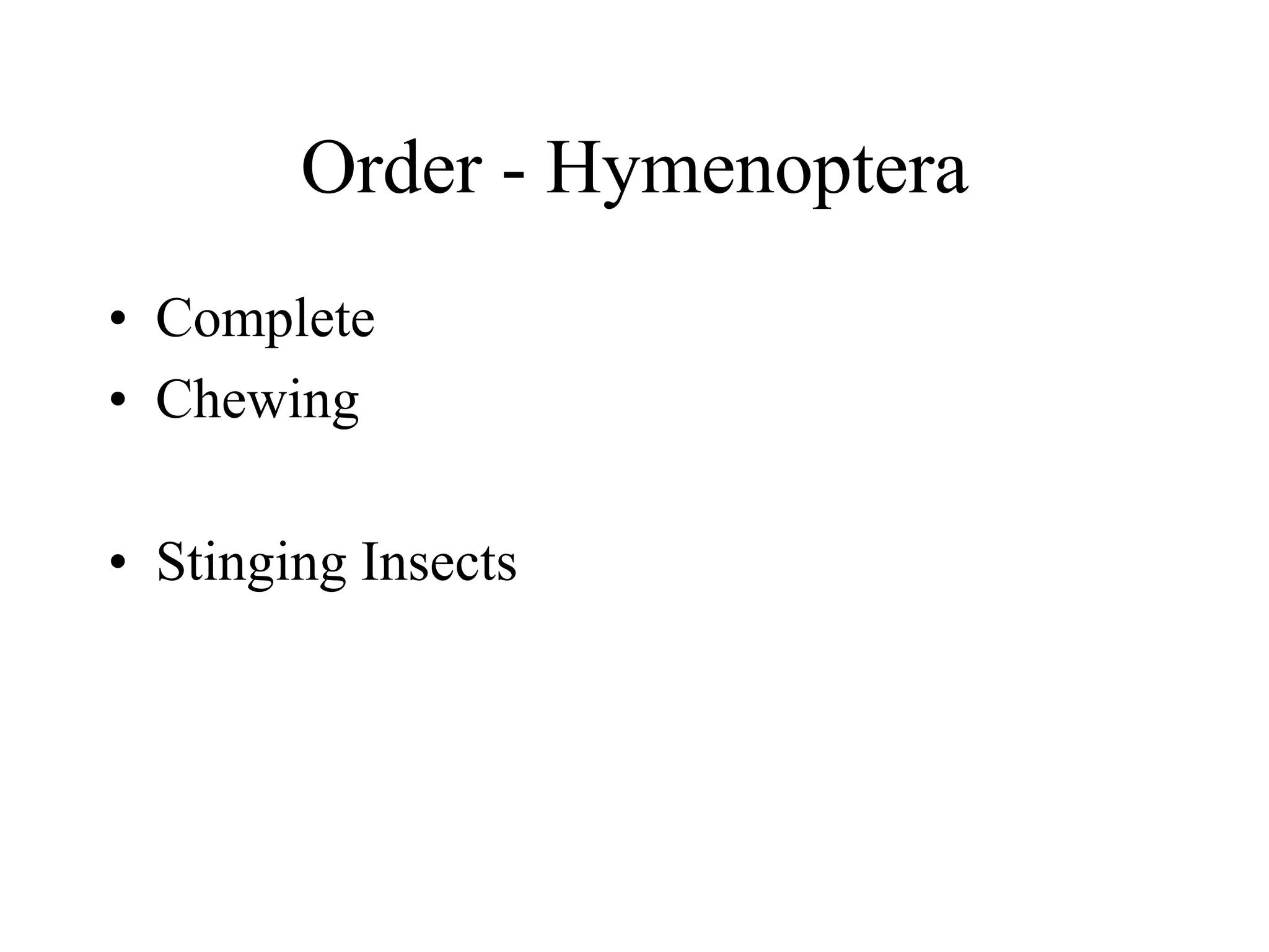 Identification - Common Insects.ppt