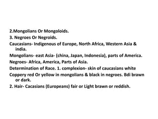 Identification - Copy.pptx