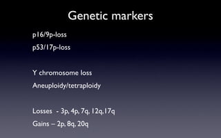 Identification of Barrett’s esophagus patients at higher risk for ...