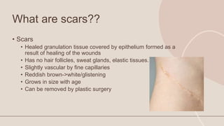 Identification-Scars and Tattoos.pptx