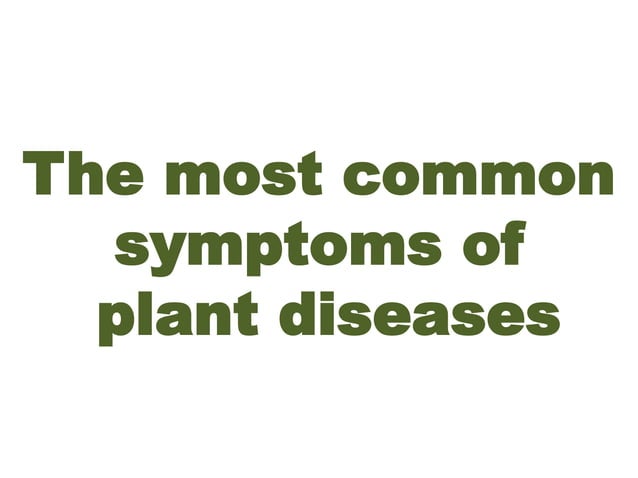 The most common symptoms of plant diseases | PPT