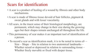 Identification 1.pptx