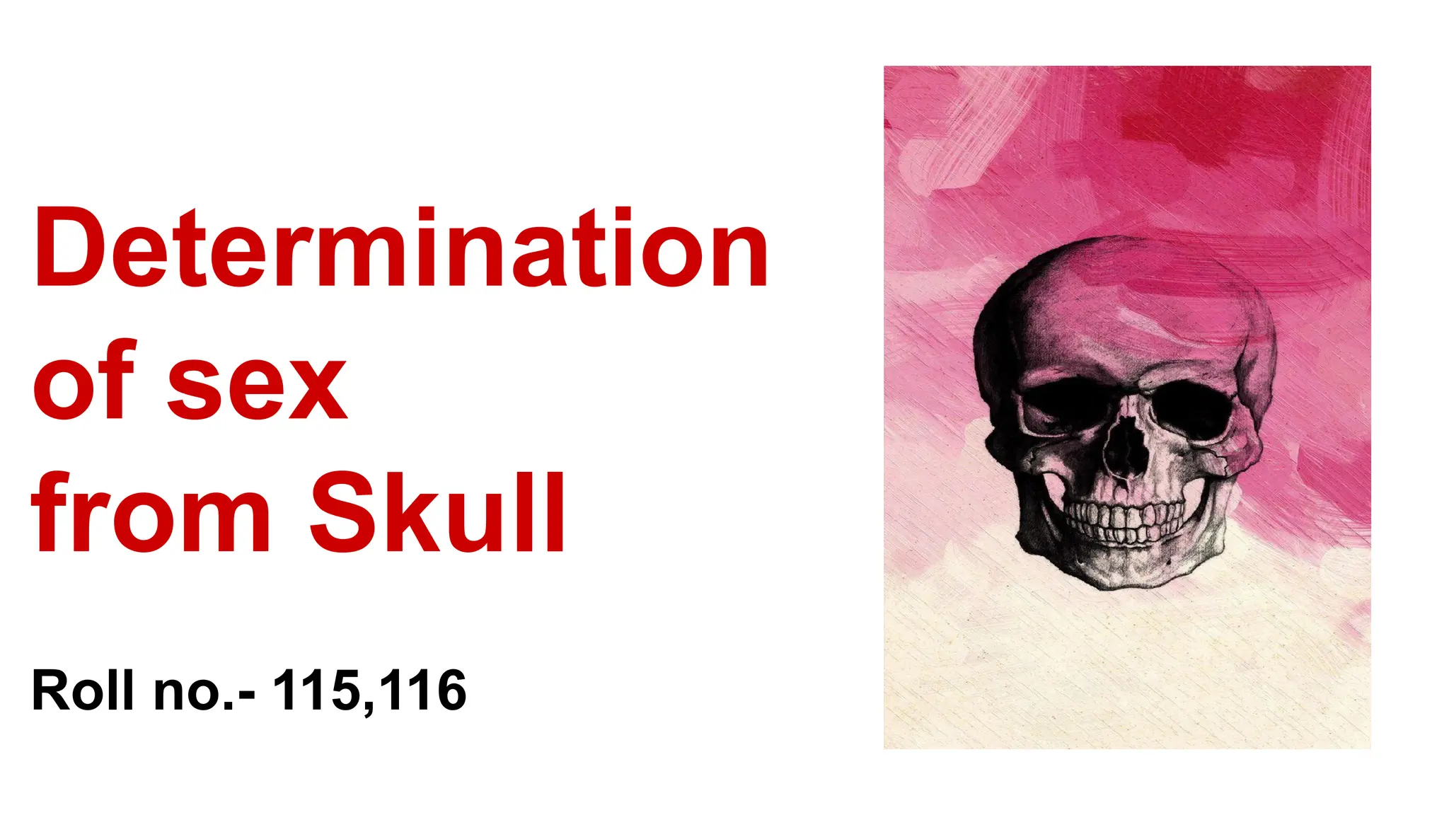 Sex Determination From Mandible Pelvis And Skull Ppt 