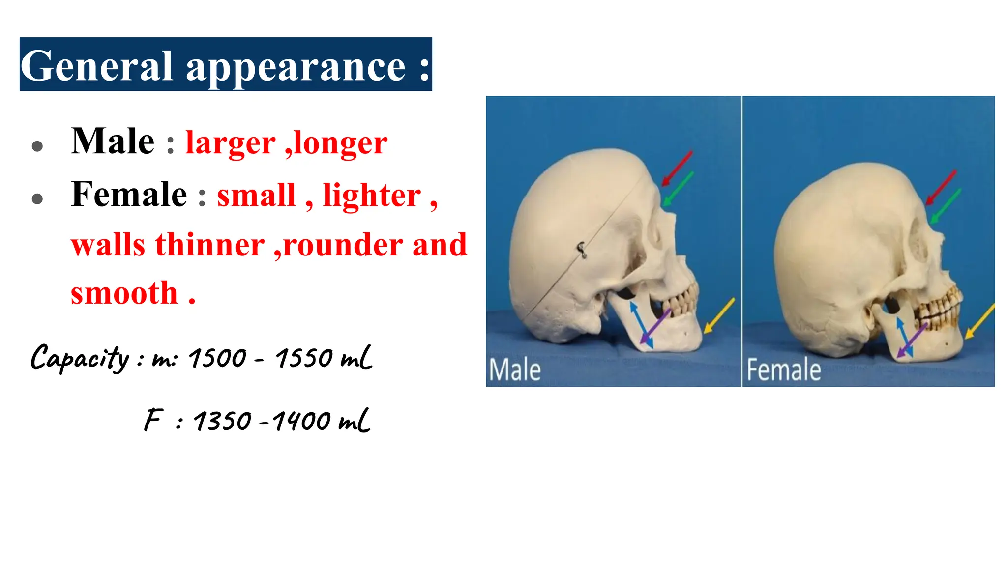 Sex Determination From Mandible Pelvis And Skull Ppt 