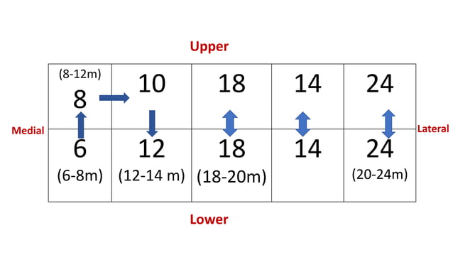 Identification - Age estimation | PPTX