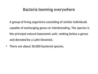 Identification and classification of bacteria.pptx