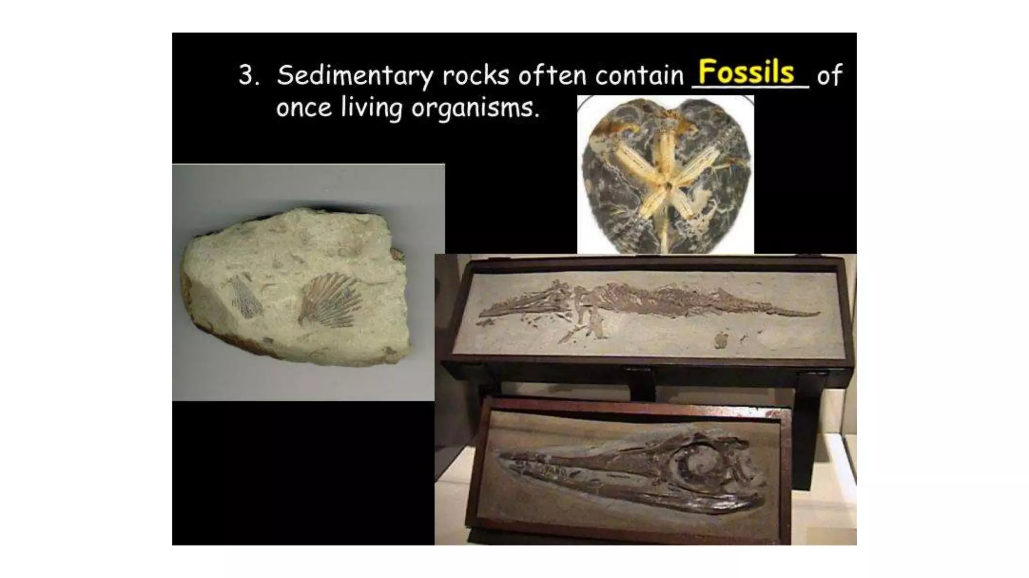 Identification and Classification of Sedimentary Rocks.pptx