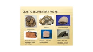 Identification and Classification of Sedimentary Rocks.pptx