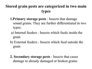 Identification and damage to store grain by coleopteran pests and its ...