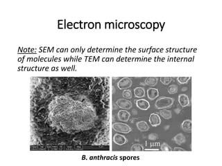 Identification and detection of molecules | PPTX