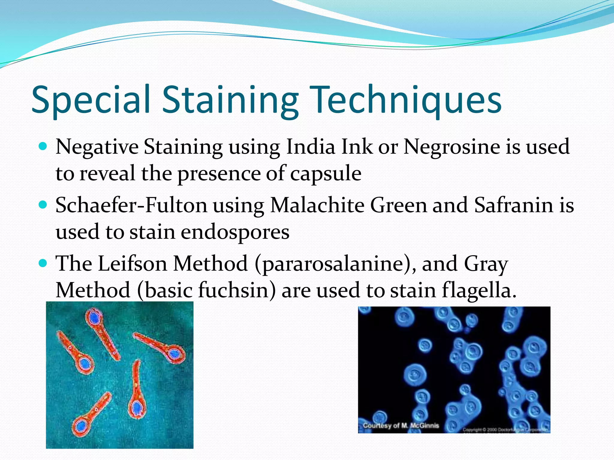 Identification And Differentiation Of Microorganisms | PPTX