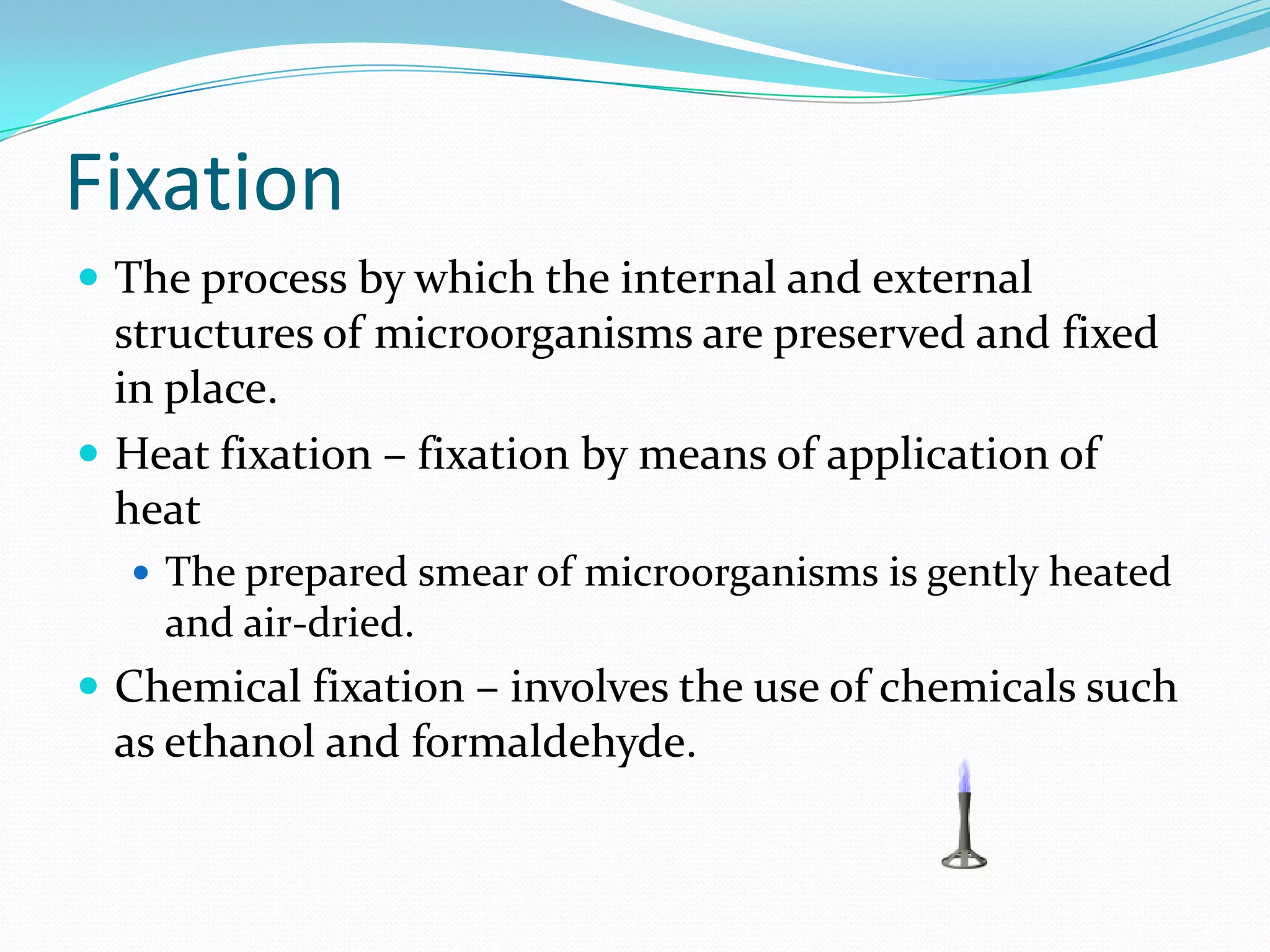 Identification And Differentiation Of Microorganisms | PPTX