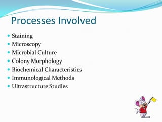 Identification And Differentiation Of Microorganisms | PPTX