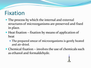 Identification And Differentiation Of Microorganisms | PPTX