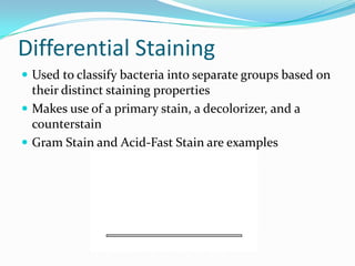 Identification And Differentiation Of Microorganisms | PPTX