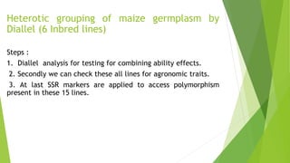 Identification and Evaluation of Heterotic Groups 4 JULY.pptx