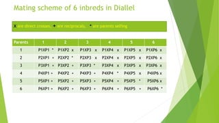 Identification and Evaluation of Heterotic Groups 4 JULY.pptx