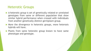 Identification and Evaluation of Heterotic Groups 4 JULY.pptx