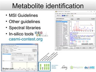 Small molecule identification and the new MassBank | PPT