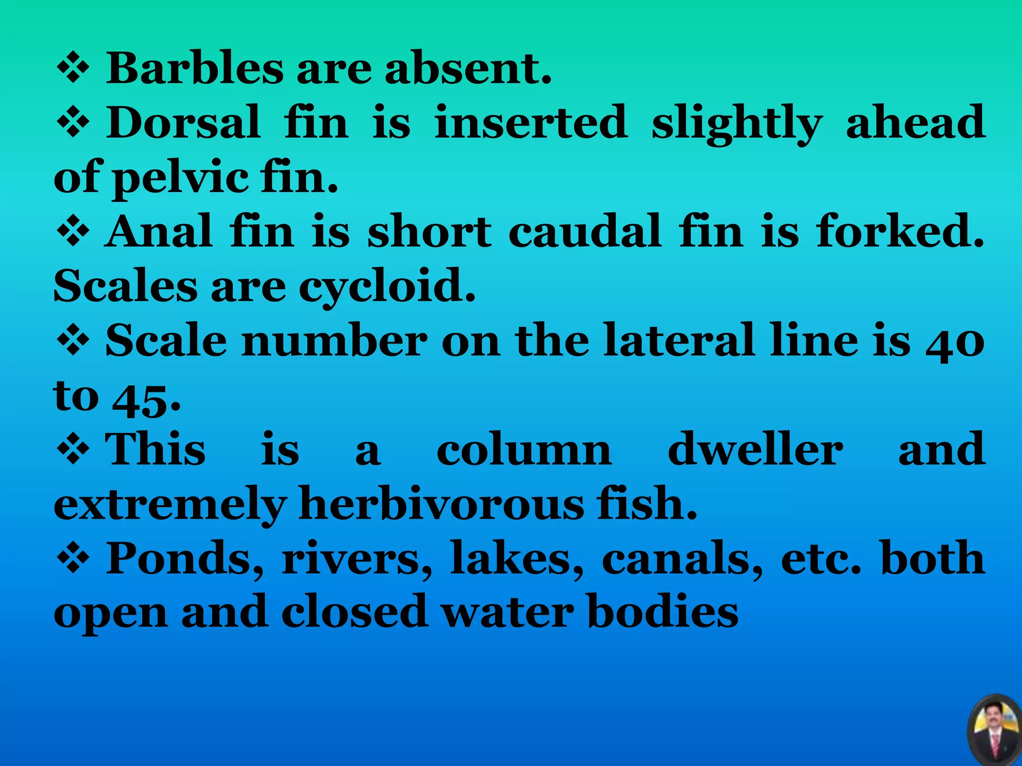 Identification and study of important cultivable Fishes | PPTX