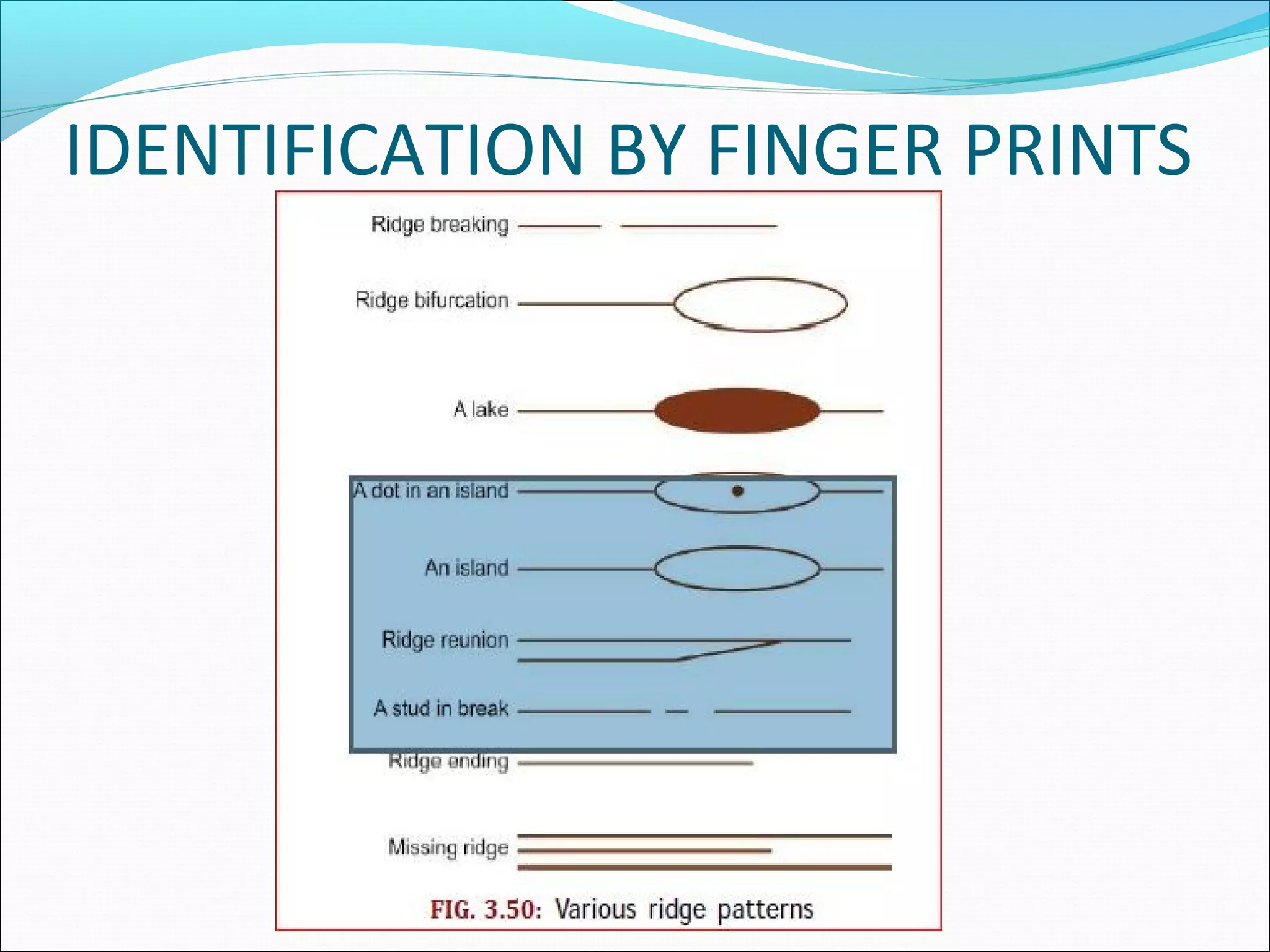 IDENTIFICATION BY SCARS, TATOO MARKS, FINGER PRINT, FOOT PRINTS , SHOE ...