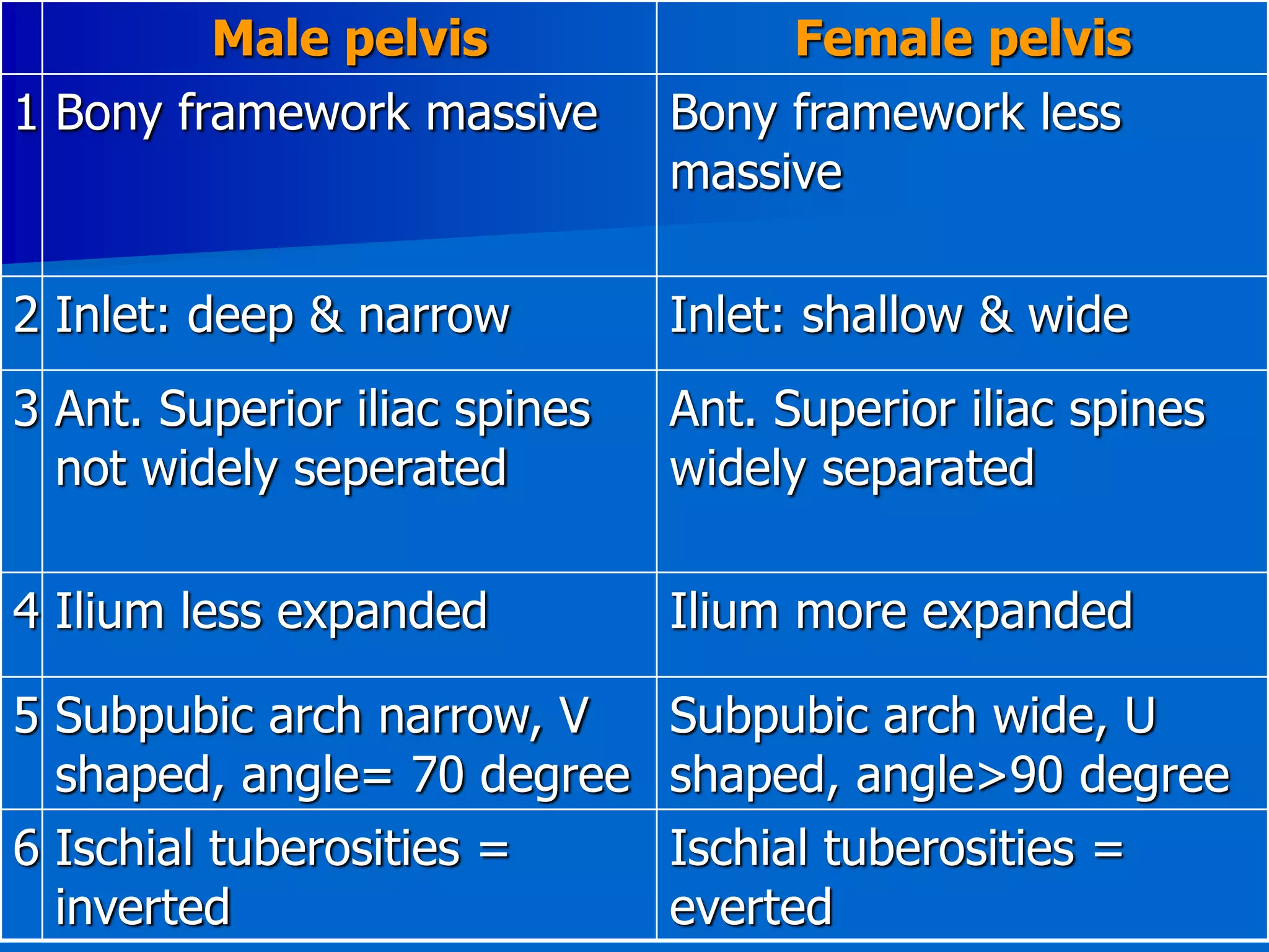 Identification From Skeletal Remains Ppt