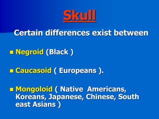 Identification from skeletal remains | PPTX