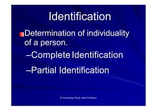 Identification | PDF