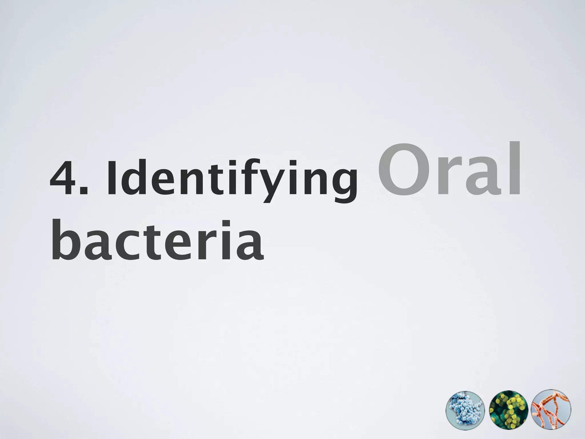Identification methods for oral microbes | PDF