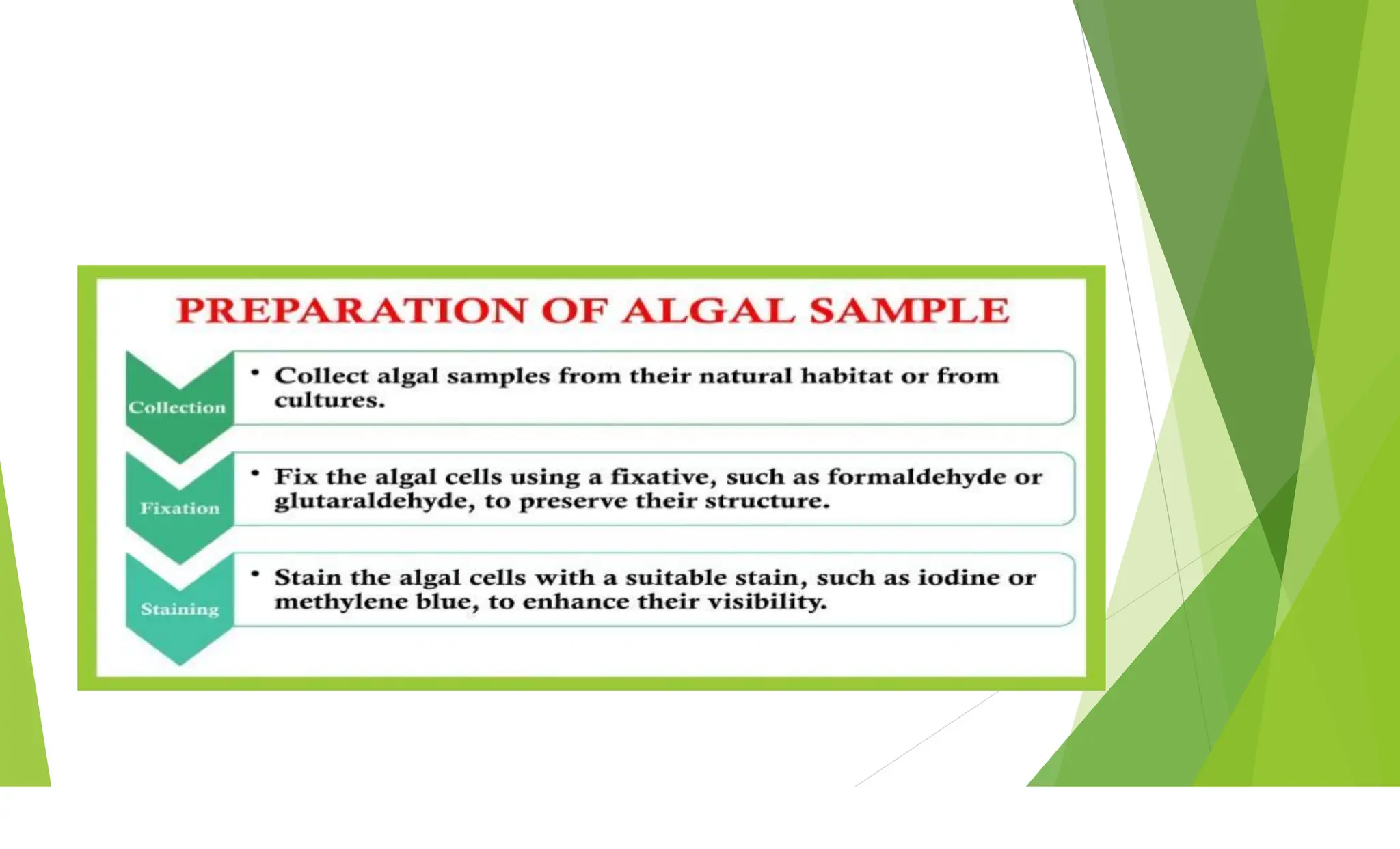 identification methods of algae .Microalgal technology | PDF