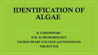Identification and examination of Algae. | PPTX
