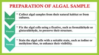 Identification and examination of Algae. | PPTX